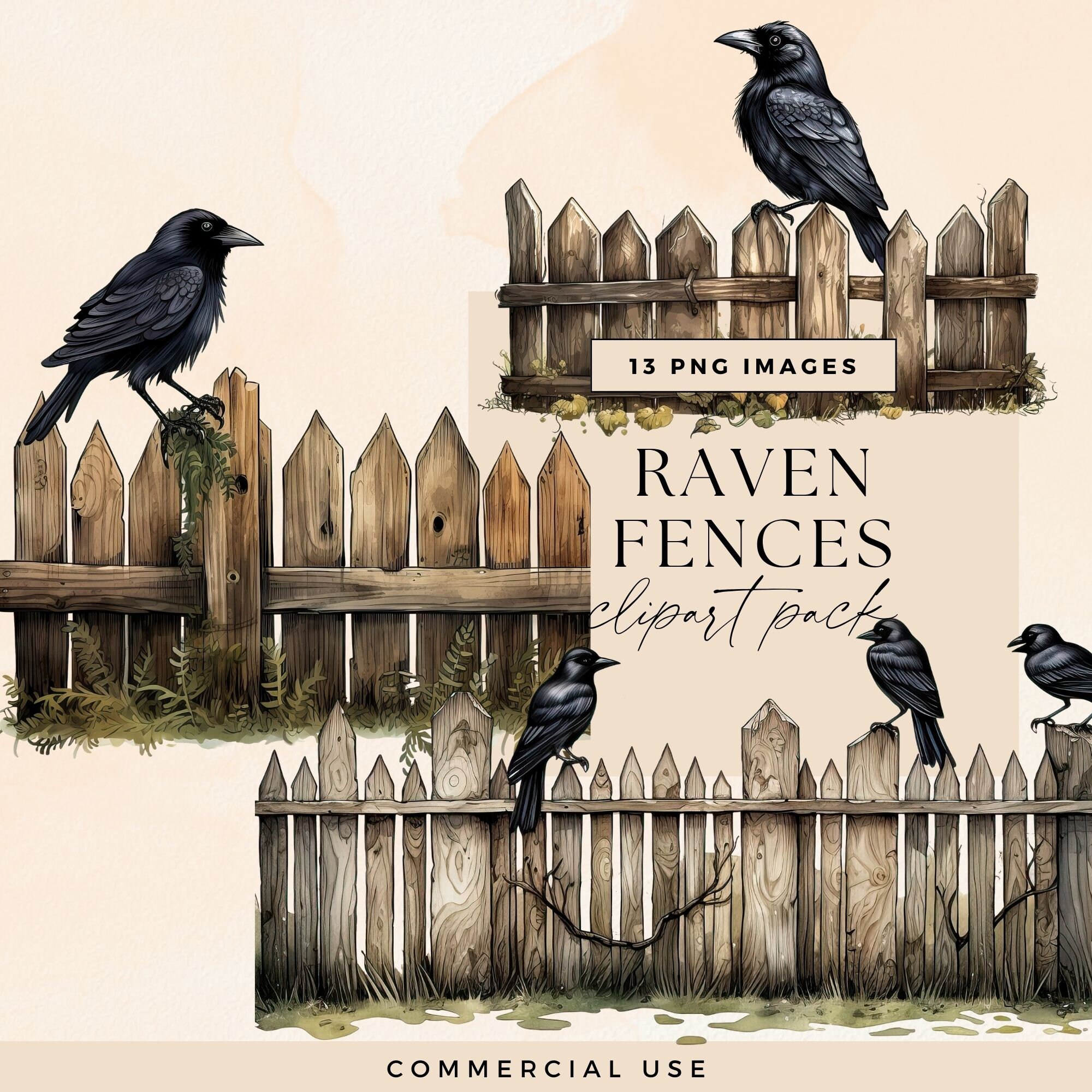 Whimsical Raven Clipart Bundle, Transparent PNG, Gothic Blackbird Art ...