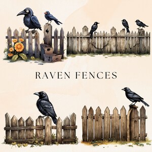 Whimsical Raven Clipart Bundle, Transparent PNG, Gothic Blackbird Art ...