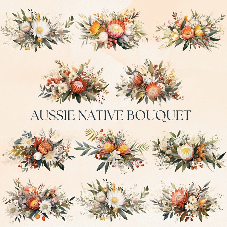 Australian Native Flower Bouquet Clipart, Protea Flowers, Transparent ...