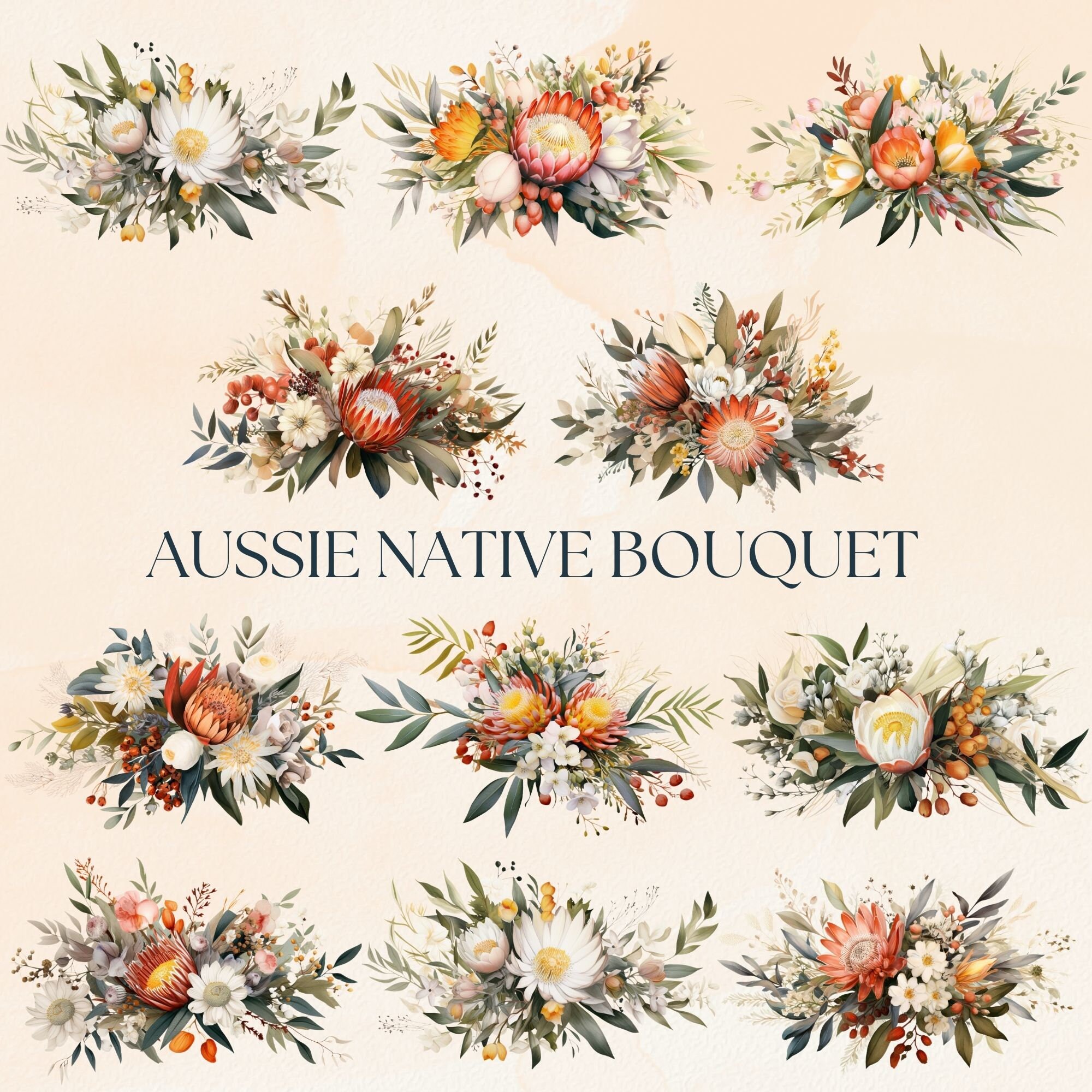 Australian Native Flower Bouquet Clipart, Protea Flowers, Transparent ...