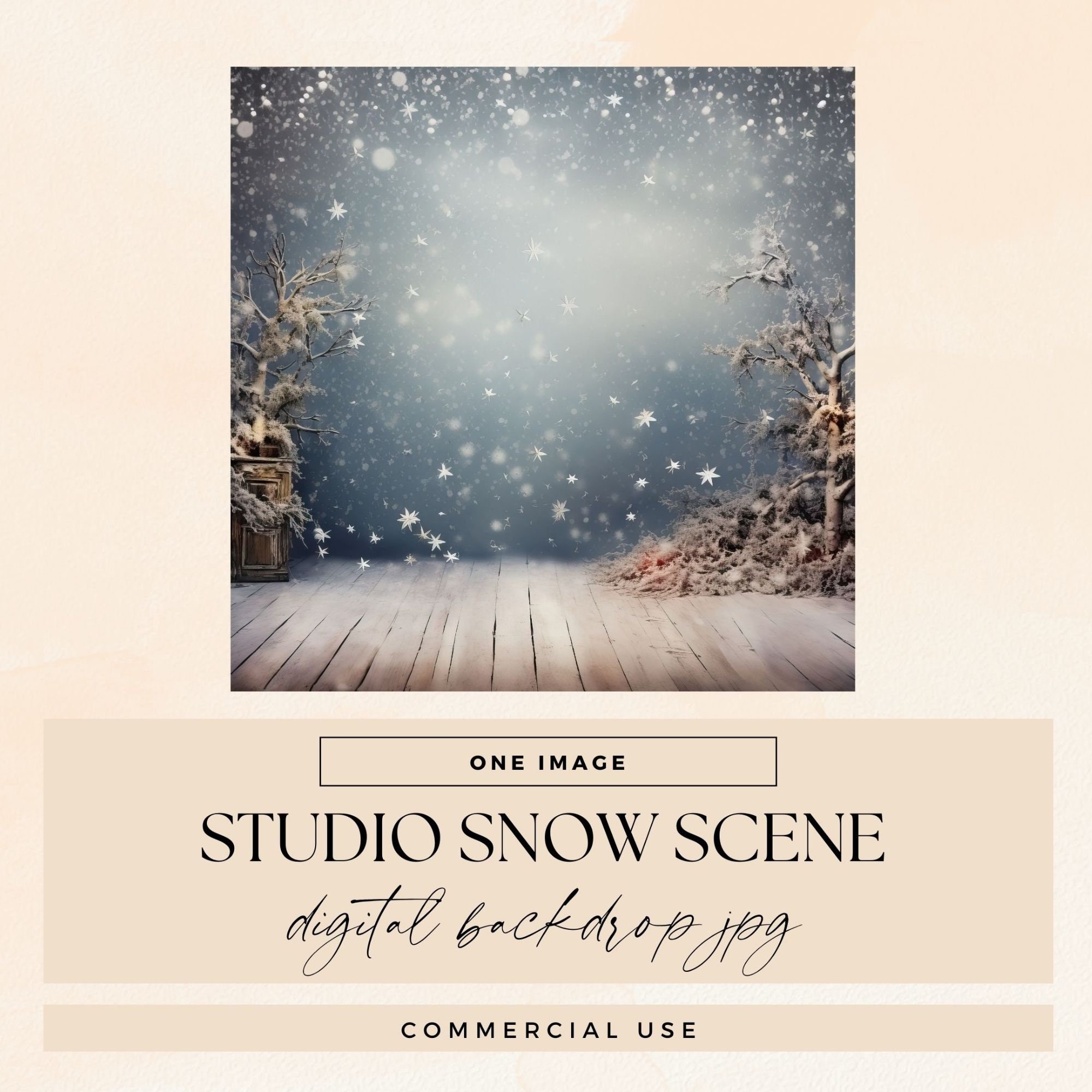 Winter Snow Scene Photo Backdrop, INSTANT DOWNLOAD, Digital Studio ...