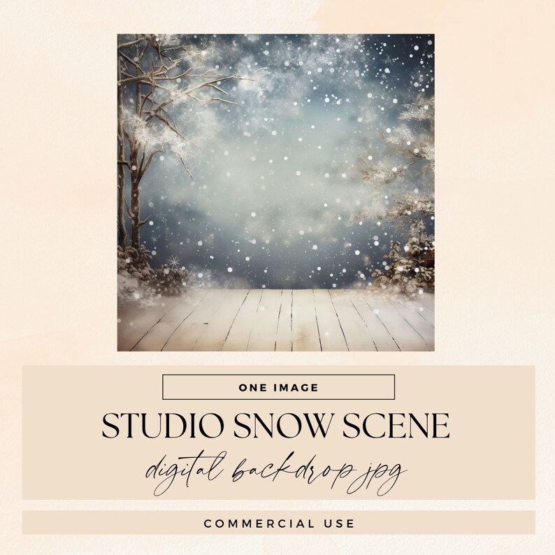 Winter Snow Scene Photo Backdrop, INSTANT DOWNLOAD, Digital Studio ...