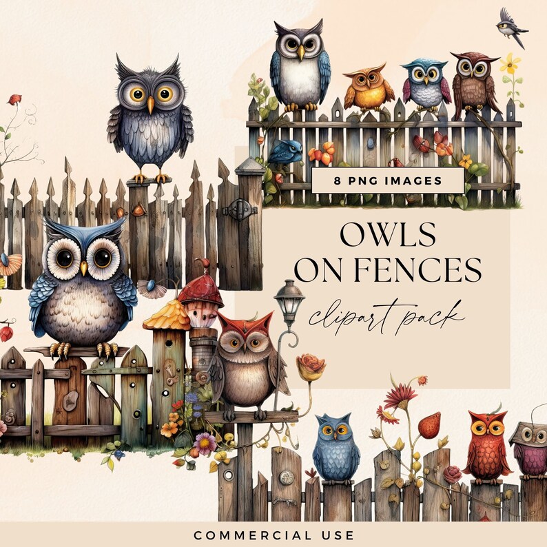 Whimsical Owl Clipart Bundle, Transparent PNG, Bird Quirky Art, Whimsy ...