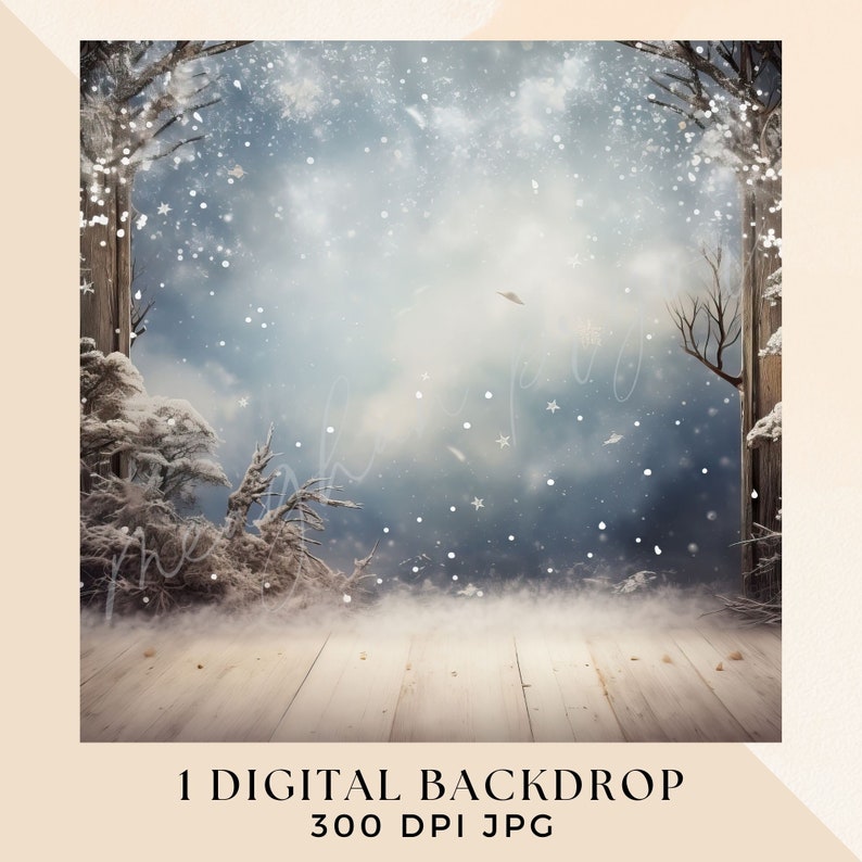 Winter Snow Scene Photo Backdrop, INSTANT DOWNLOAD, Digital Studio ...