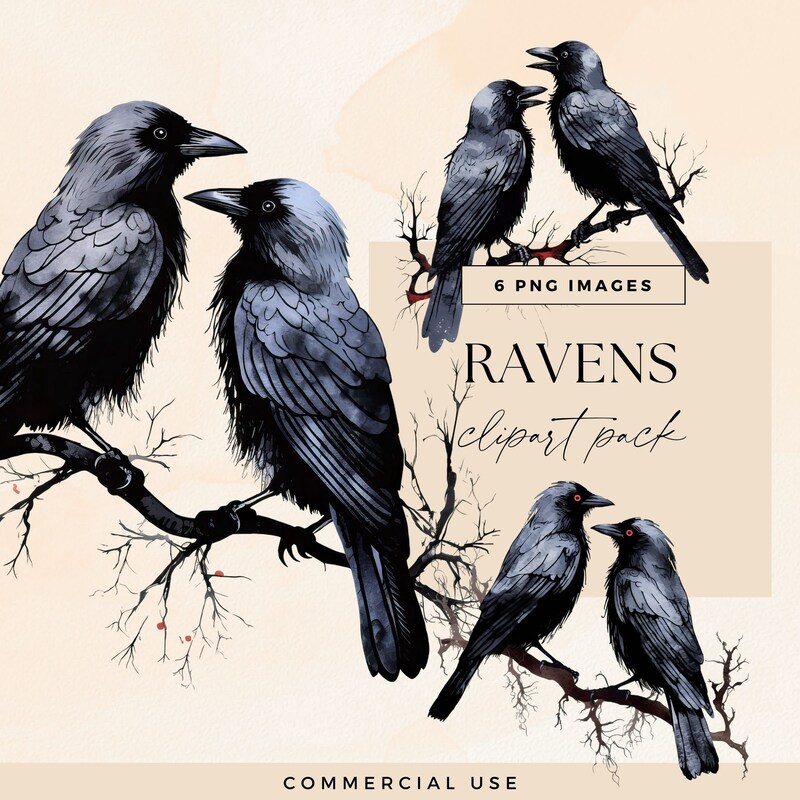 Raven Watercolor - Etsy