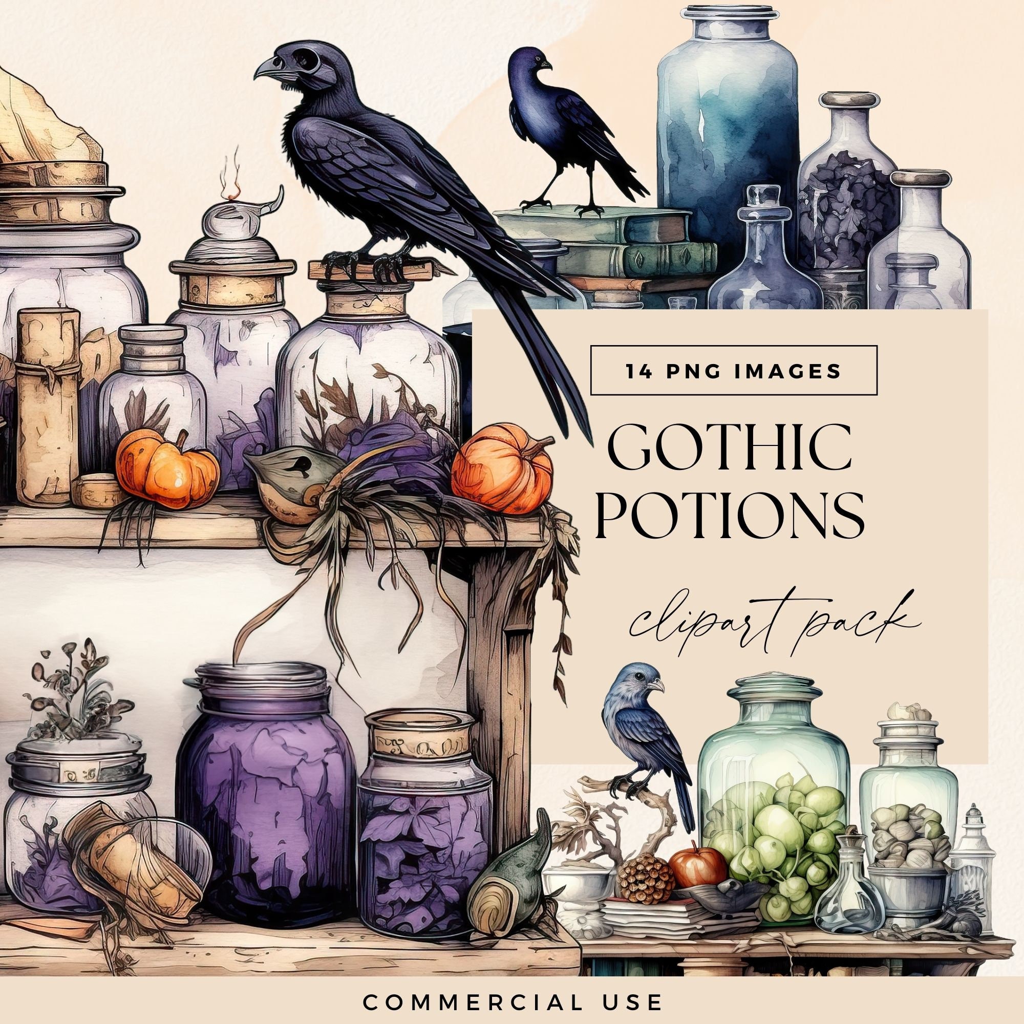 Gothic Potion Bottles Clipart, Apothecary Shelves Clip Art, Mystical ...
