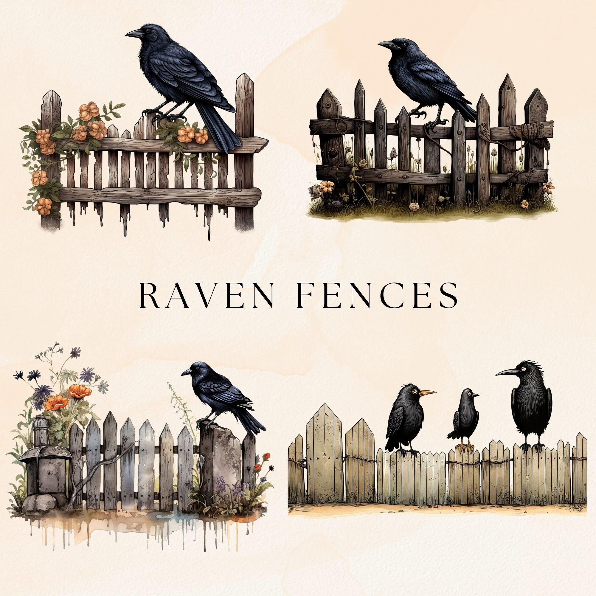Whimsical Raven Clipart Bundle, Transparent PNG, Gothic Blackbird Art ...