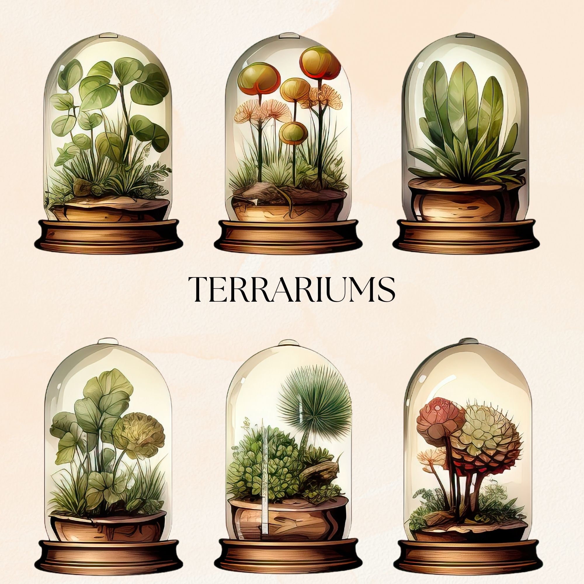 Terrarium Clip Art Pack Clipart for Commercial Use - Etsy