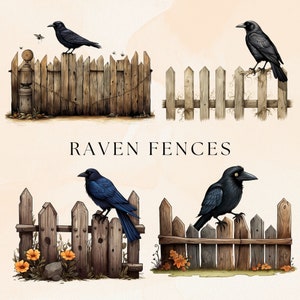 Whimsical Raven Clipart Bundle, Transparent PNG, Gothic Blackbird Art, Goth Crows on Street ...