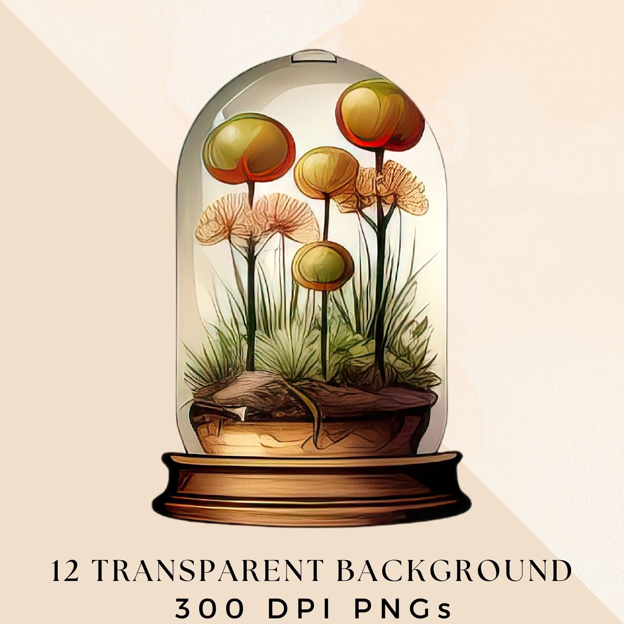 Terrarium Clip Art Pack Clipart for Commercial Use - Etsy