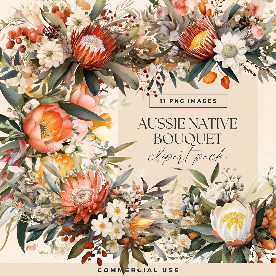 Australian Native Flower Bouquet Clipart, Protea Flowers, Transparent ...