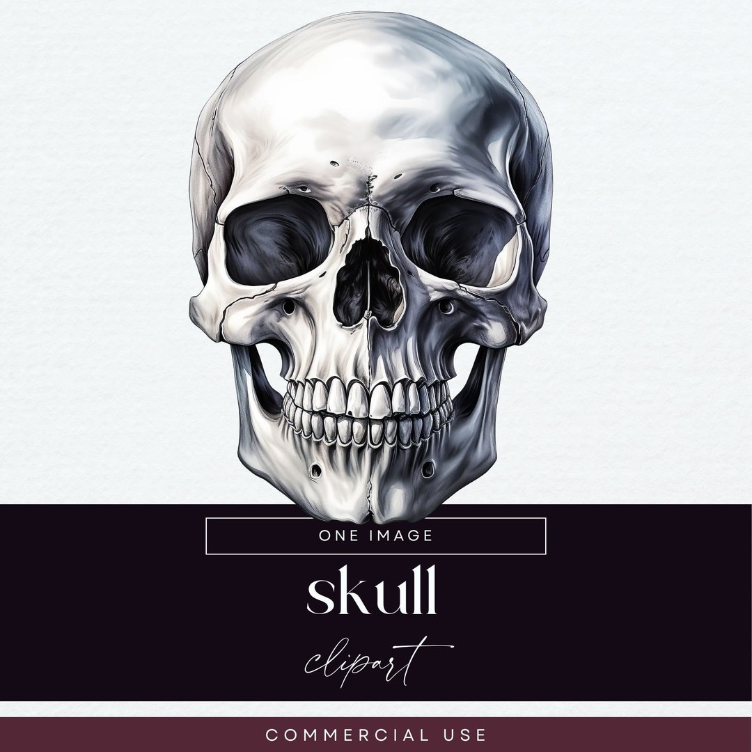 Human Skull Clipart, Transparent PNG, Skeleton Illustration, Anatomy ...