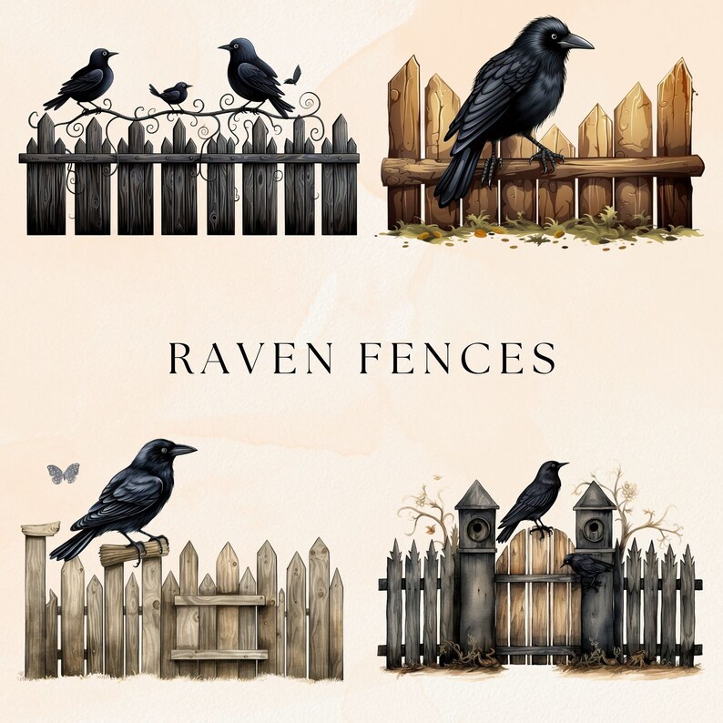 Whimsical Raven Clipart Bundle, Transparent PNG, Gothic Blackbird Art ...