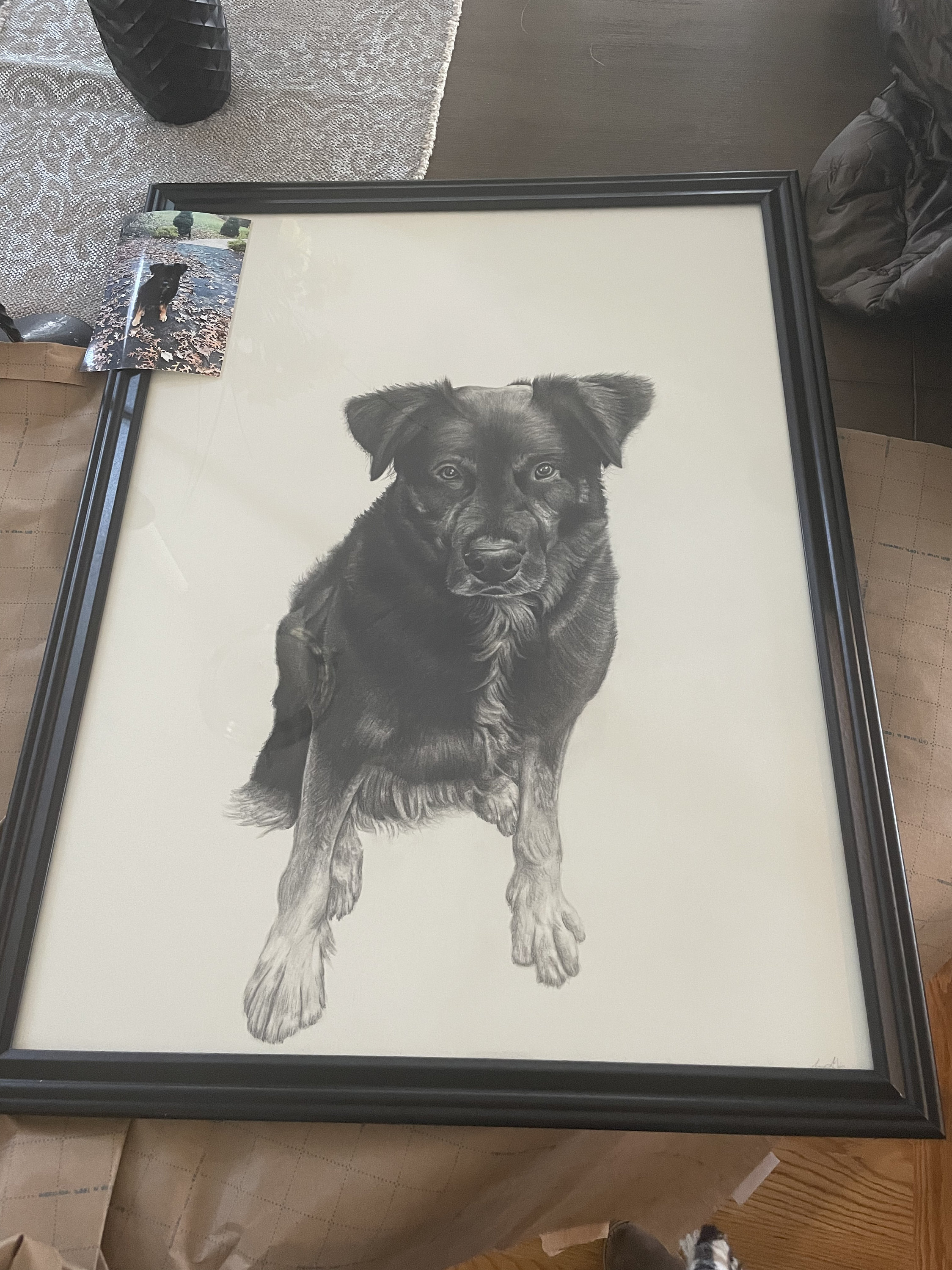 Hand-drawn Custom Pet Portraits - Etsy