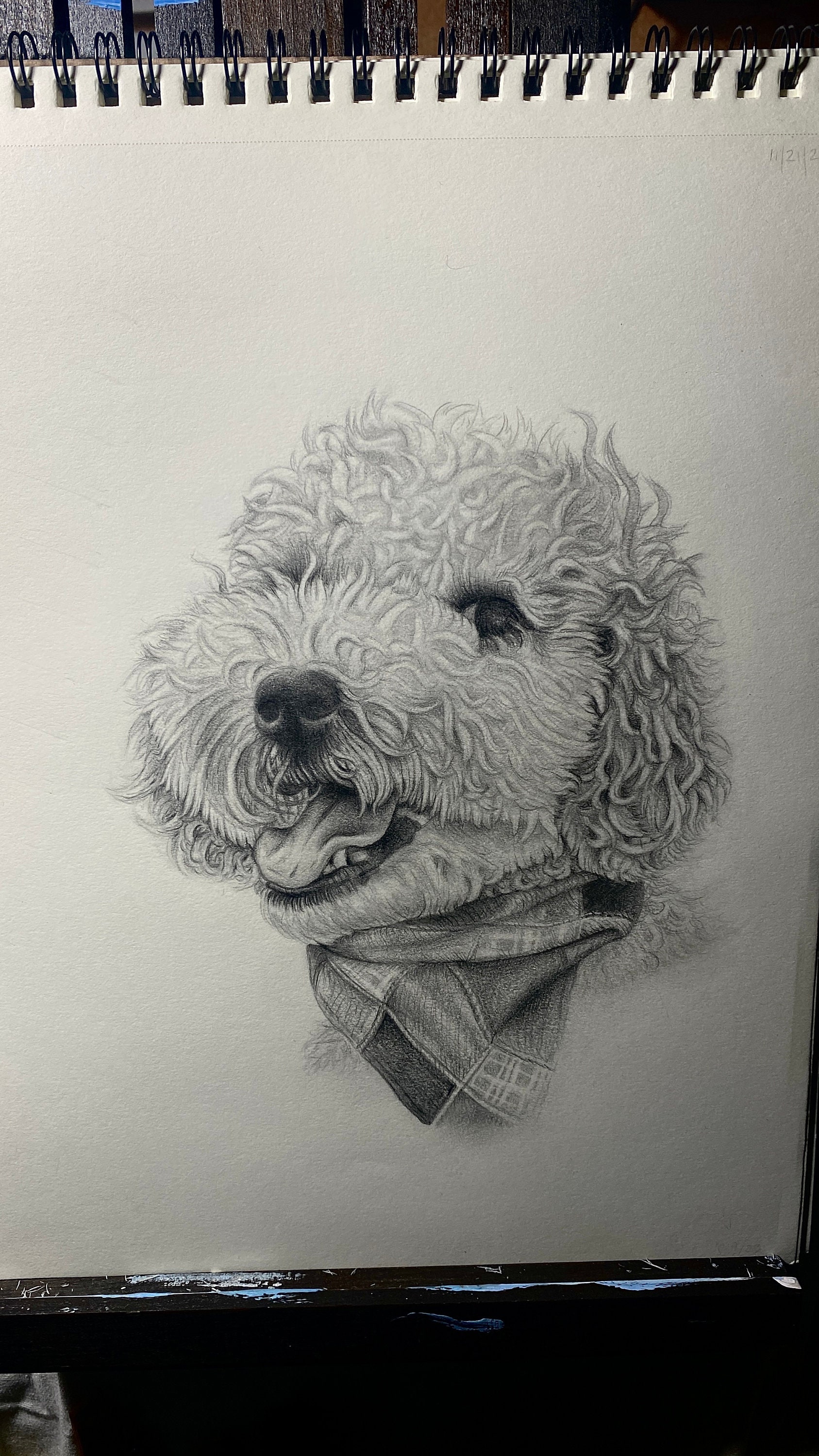 Hand-drawn Custom Pet Portraits - Etsy