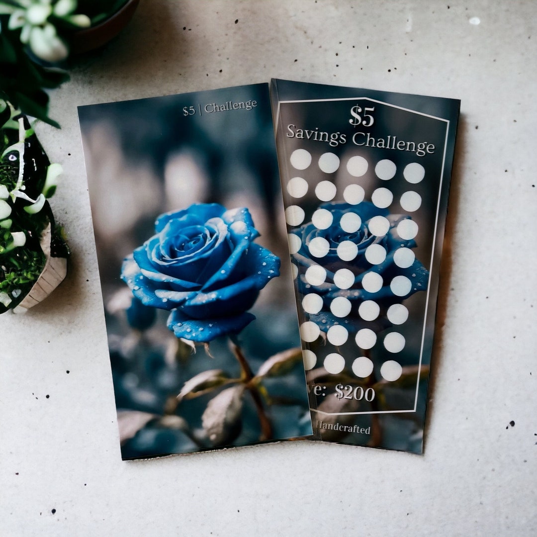 Laminated Savings Challenge Rose A6 Budget Binder Cash Envelope Insert ...