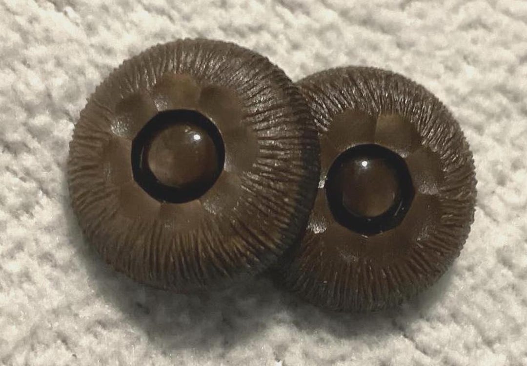 Unusual Brown Vintage Buttons, Faux Material and Gem Design - Etsy