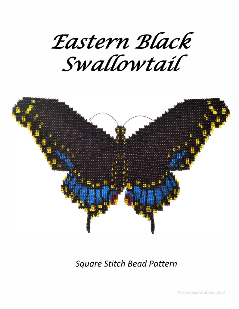 Eastern Black Swallowtail Square Stitch Bead Pattern - Etsy