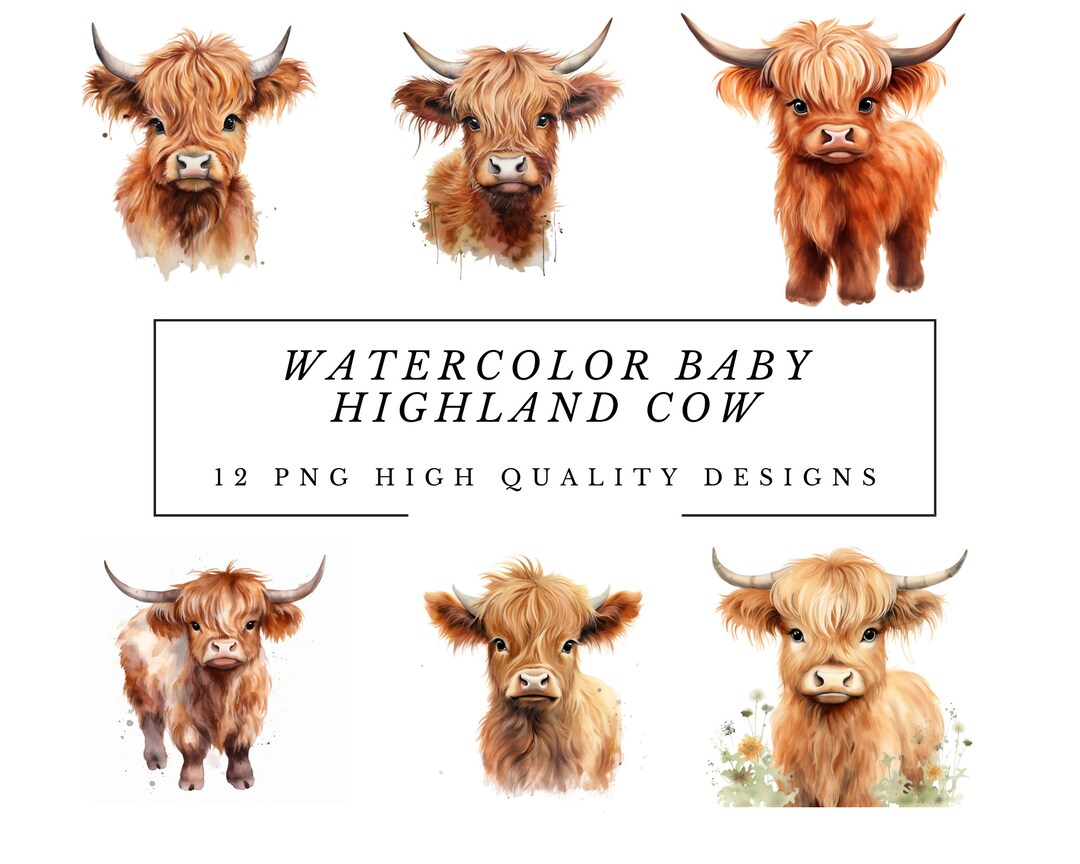 Watercolor Highland Cow PNG Clipart Baby Highland Cow Wall Art Digital ...