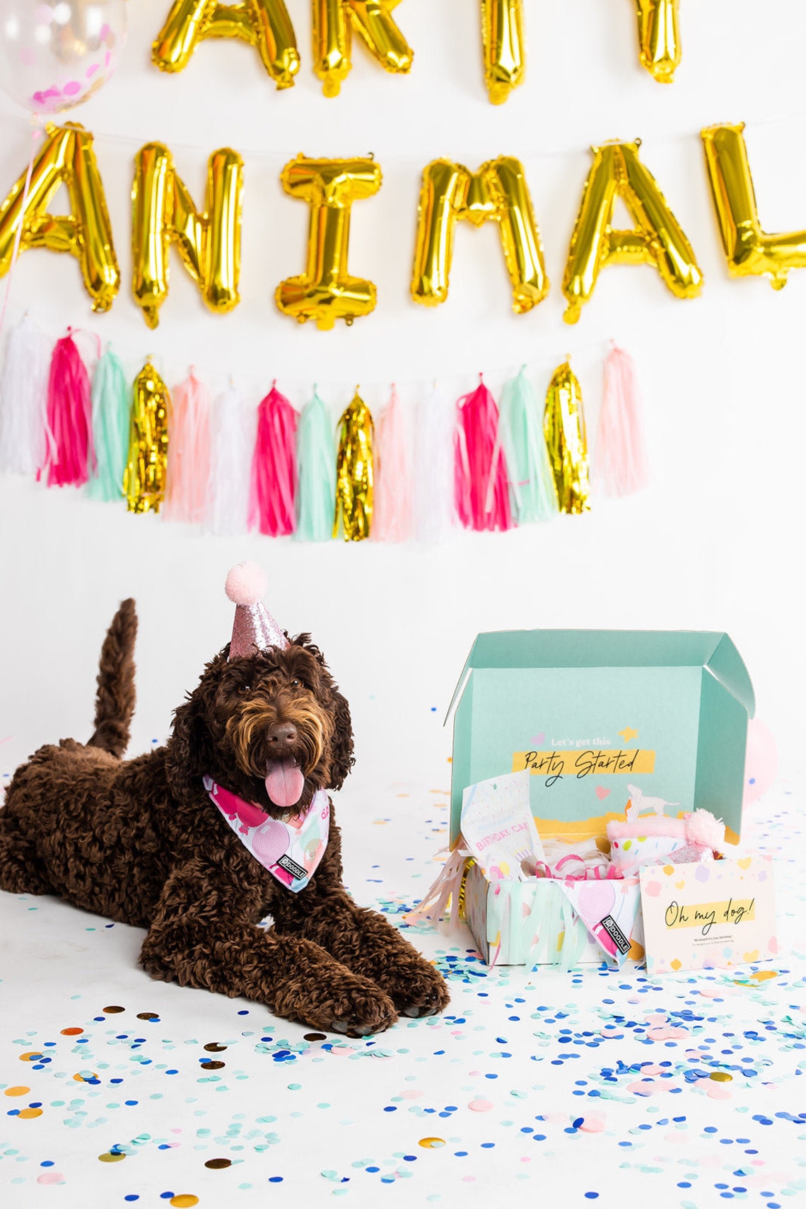 PARTY ANIMAL - FULL Party Box (pink) - Etsy