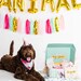 PARTY ANIMAL - FULL Party Box (pink) - Etsy