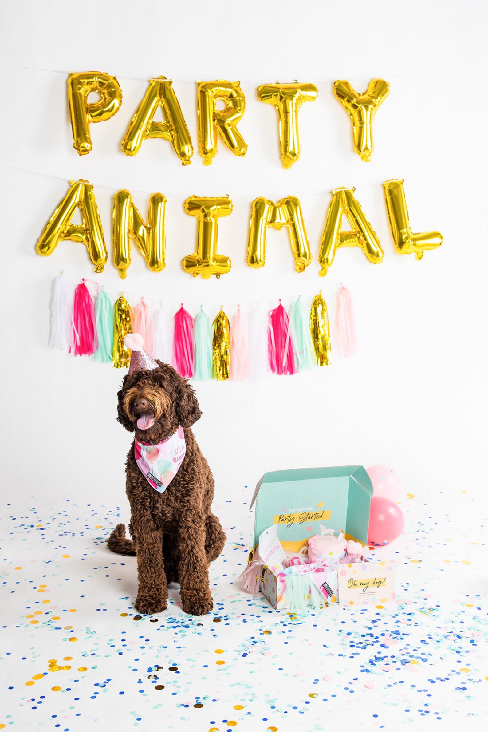 PARTY ANIMAL - FULL Party Box (pink) - Etsy