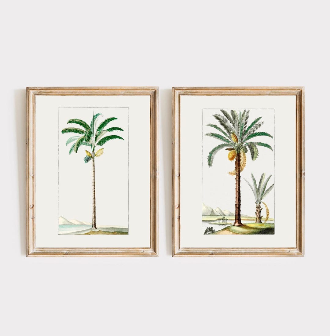 Botanical Palm Tree Prints | Elegant Duo Set | Instant Downloadable Art ...