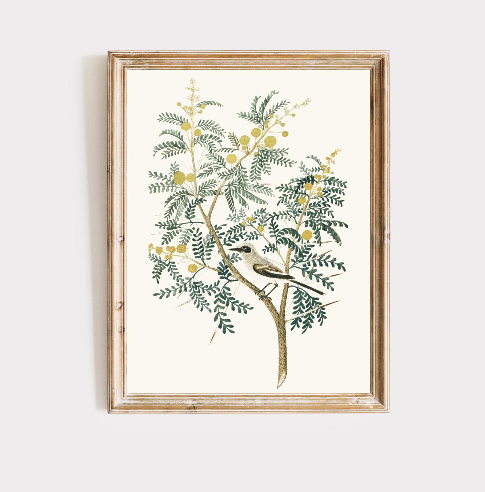 Botanical Bird Print | Vintage Bird Illustration | Floral Wall Art ...