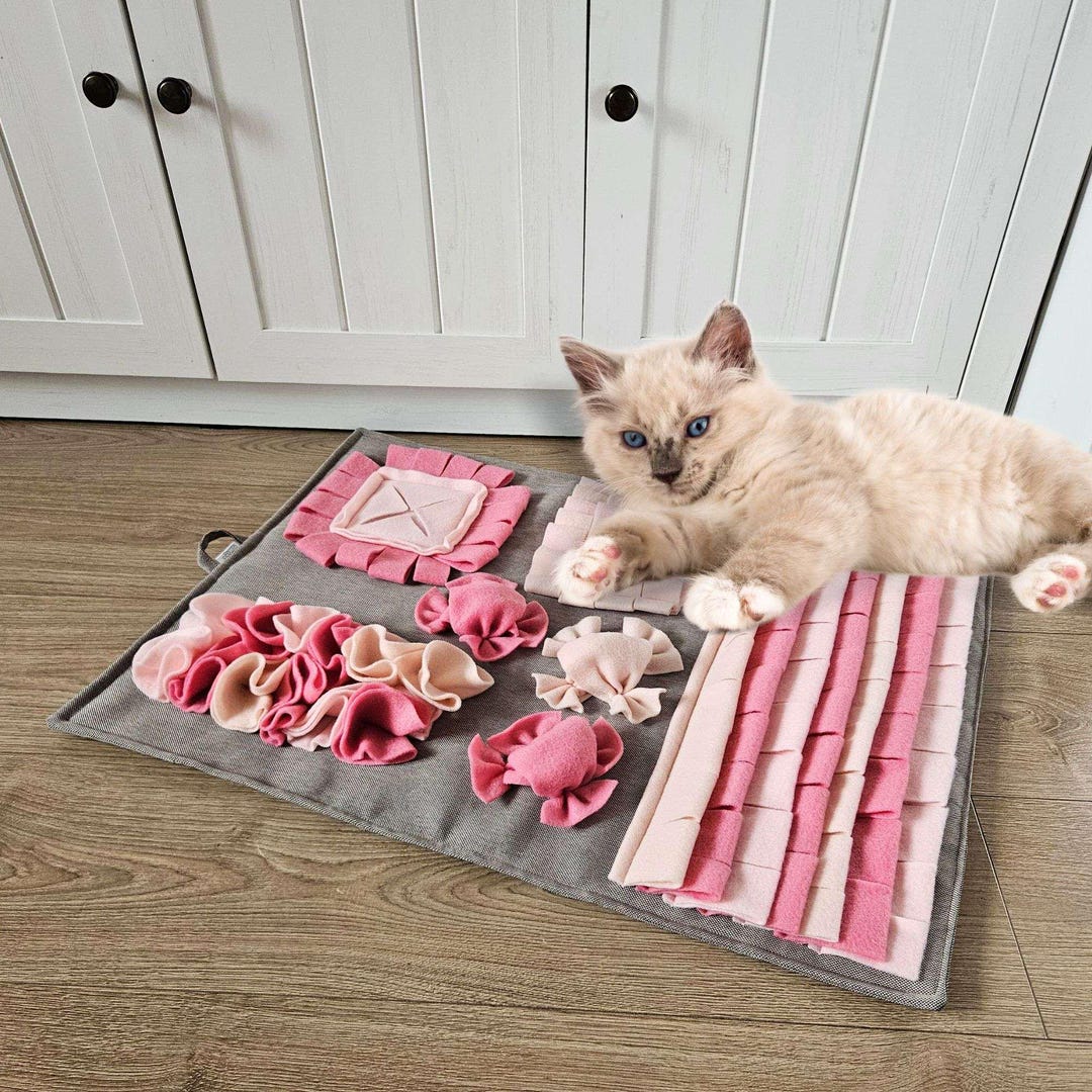 Interactive Cat Toy, Pink Snuffle Cat Mat 50x70 Cm, Puzzle Cat Treat ...