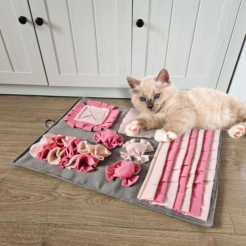 Interactive Cat Toy, Pink Snuffle Cat Mat 50x70 Cm, Puzzle Cat Treat ...