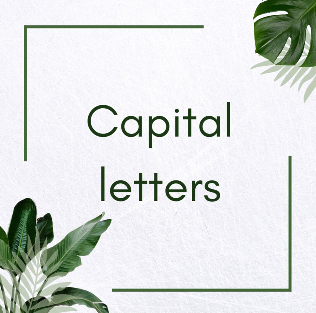Natural Punctuation Display - Etsy