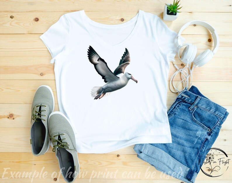 Albatross PNG Clip Art: New Zealand Bird Print (digital Download) - Etsy