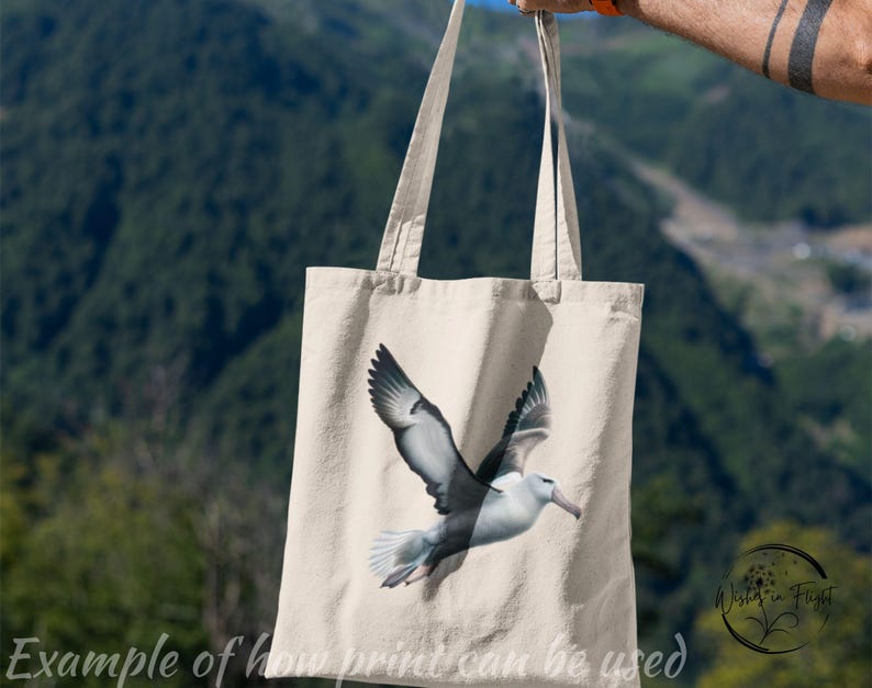 Albatross PNG Clip Art: New Zealand Bird Print (digital Download) - Etsy