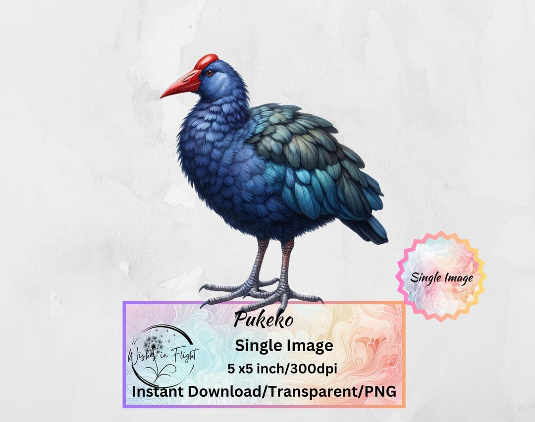 New Zealand Native Bird, Pukeko, PNG Transparent Clip Art Instant ...