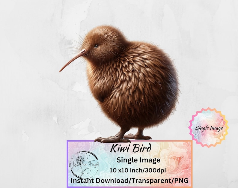 Kiwi Bird PNG Transparent Clip Art Instant Download |digital Print ...