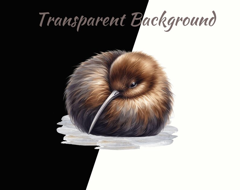 Kiwi Bird PNG Transparent Clip Art Instant Download, Digital Print ...