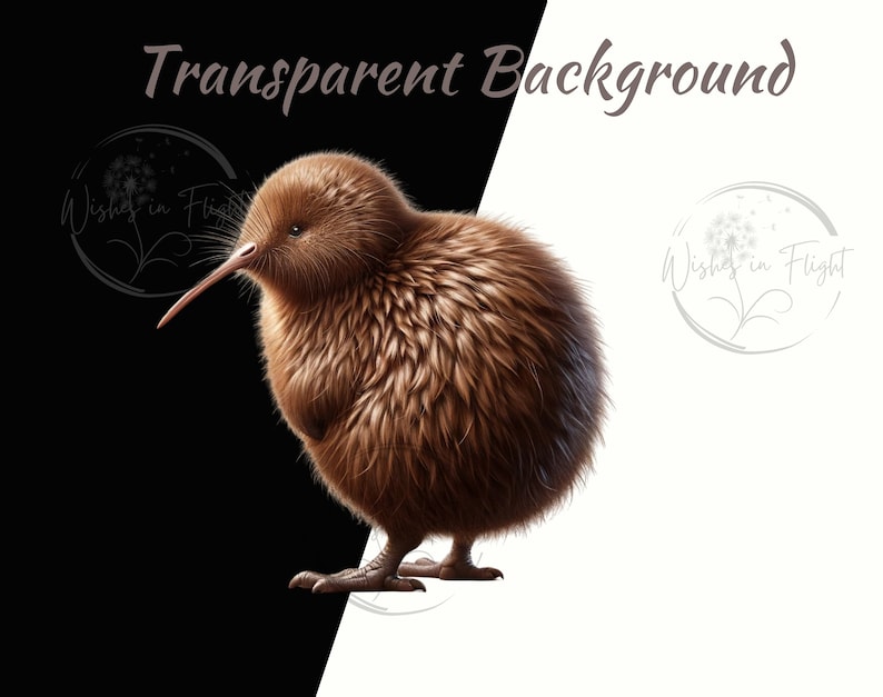 Kiwi Bird PNG Transparent Clip Art Instant Download |digital Print ...