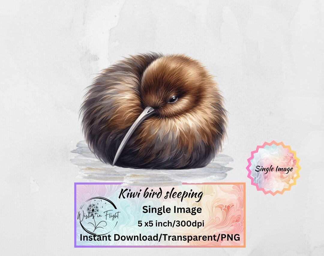 Kiwi Bird PNG Transparent Clip Art Instant Download, Digital Print ...
