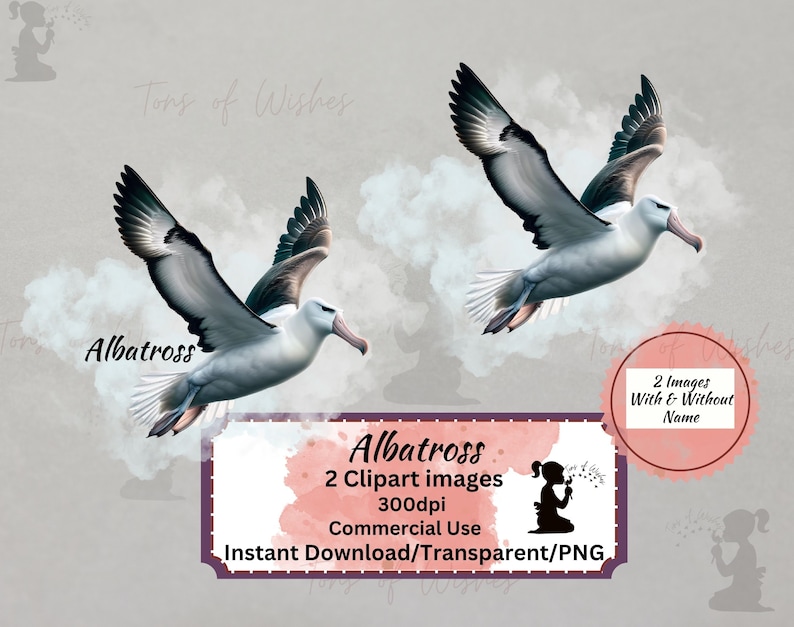 Albatross Transparent Clip Art New Zealand Native Bird Instant Download ...