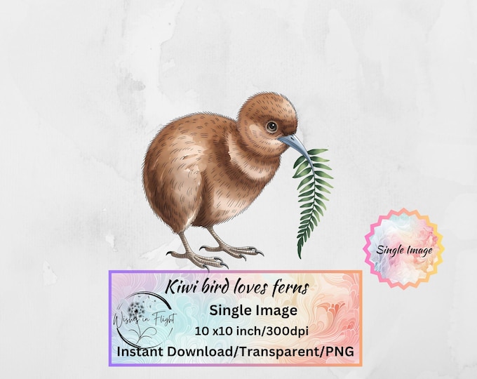 New Zealand Flag Clipart Bundle | Kiwi Art Printables (digital Download ...