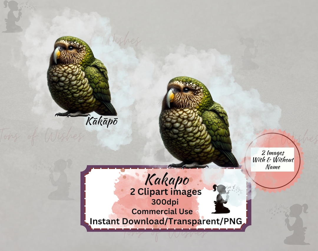 Kakapo Bird Clip Art: New Zealand Native, Transparent PNG (digital ...