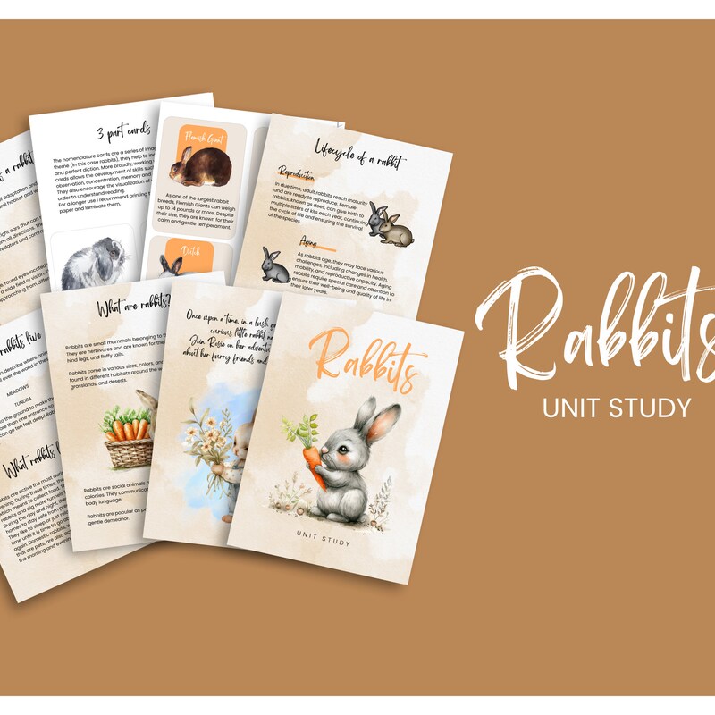 Spring Unit Study - Etsy