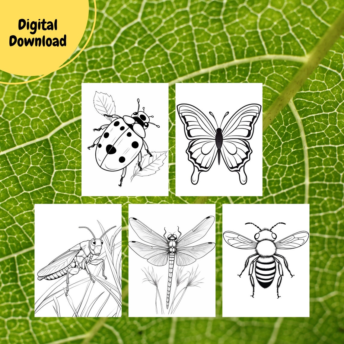 Insects and Bugs Coloring Pages for Kids and Toddlers, 20 Coloring ...