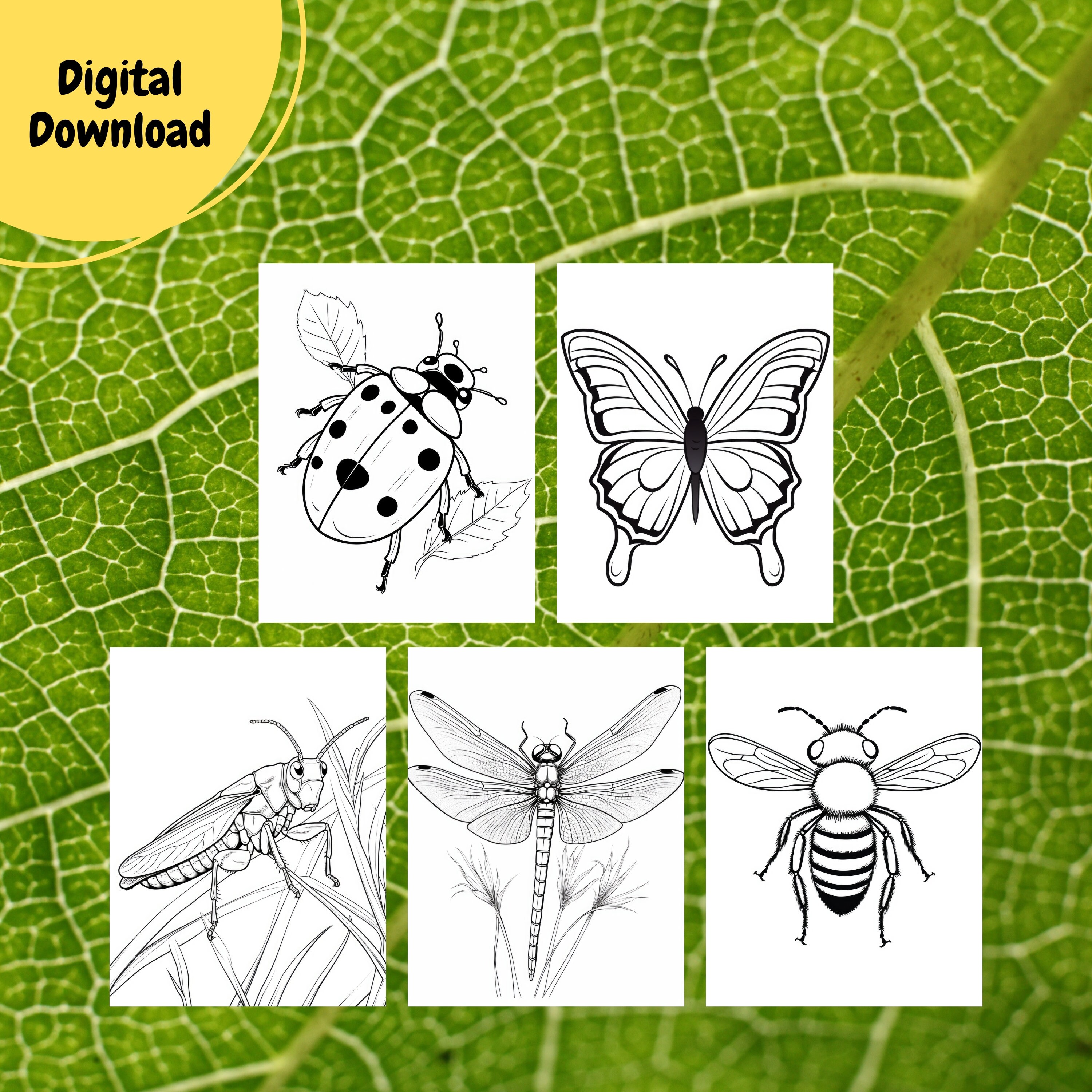 Insects and Bugs Coloring Pages for Kids and Toddlers, 20 Coloring ...