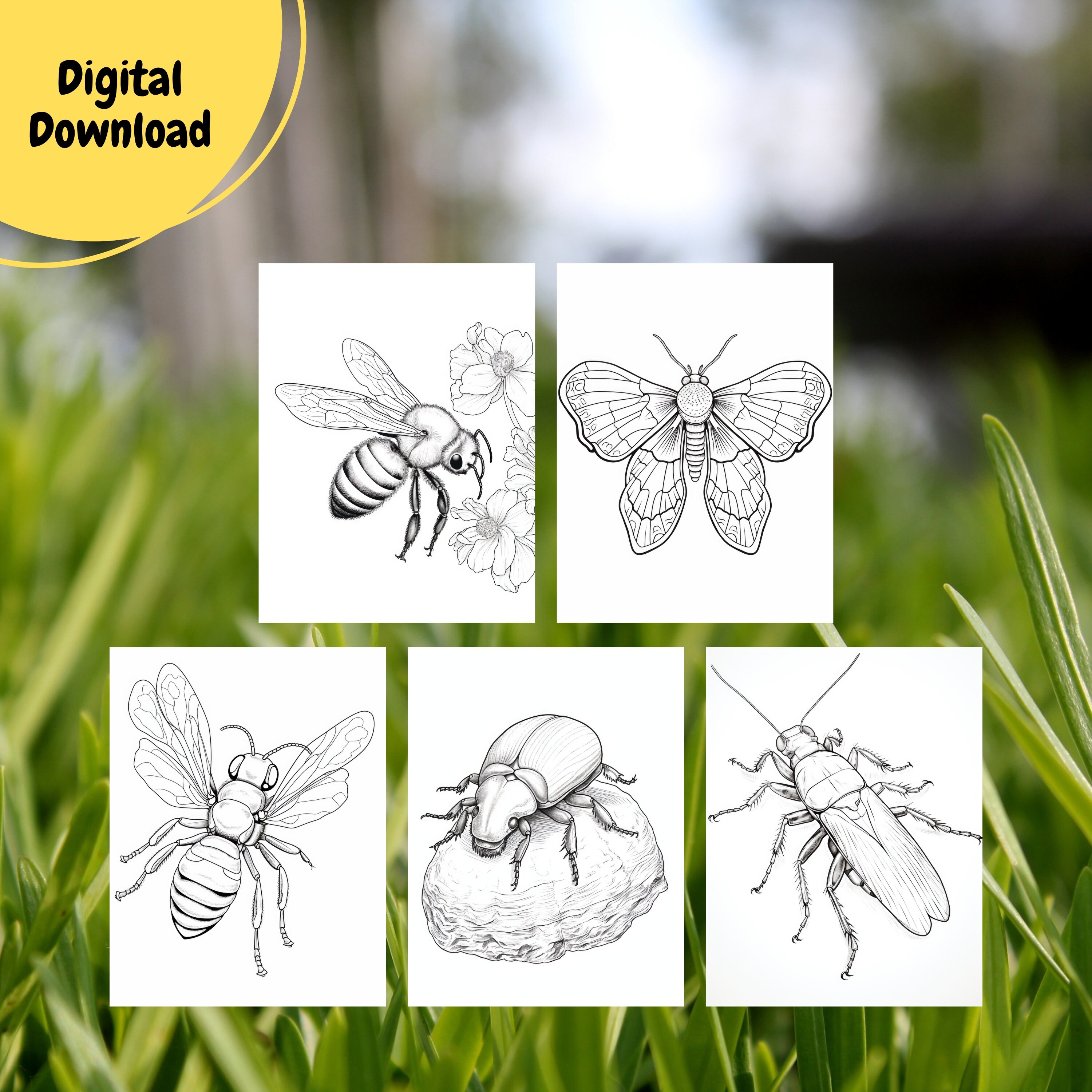 Insects and Bugs Coloring Pages for Kids and Toddlers, 20 Coloring ...