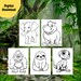 Jungle Safari Animal Coloring Pages for Kids and Toddlers, 20 Coloring ...