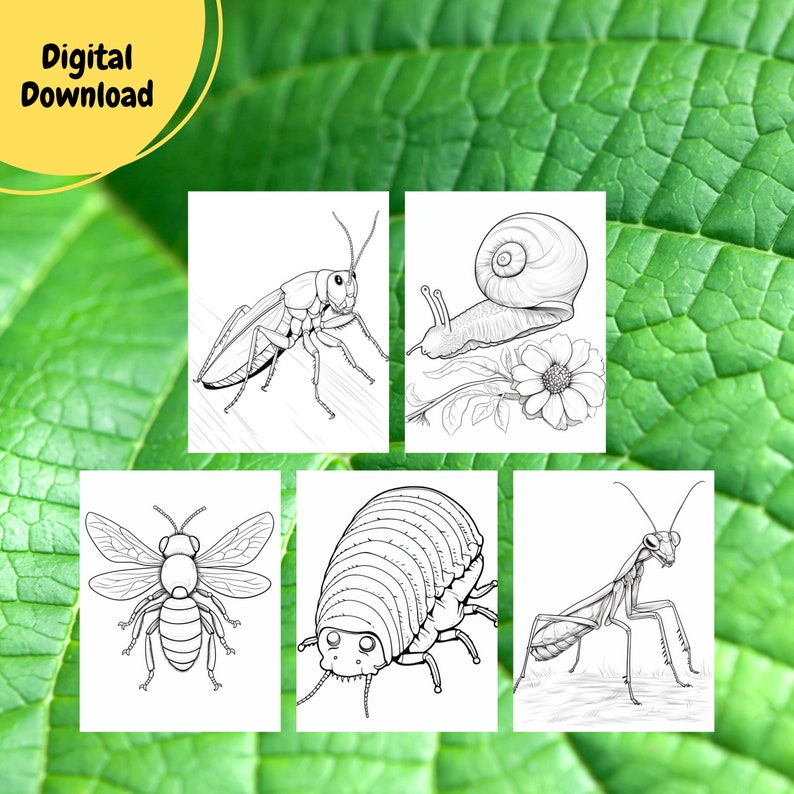 Insects and Bugs Coloring Pages for Kids and Toddlers, 20 Coloring ...