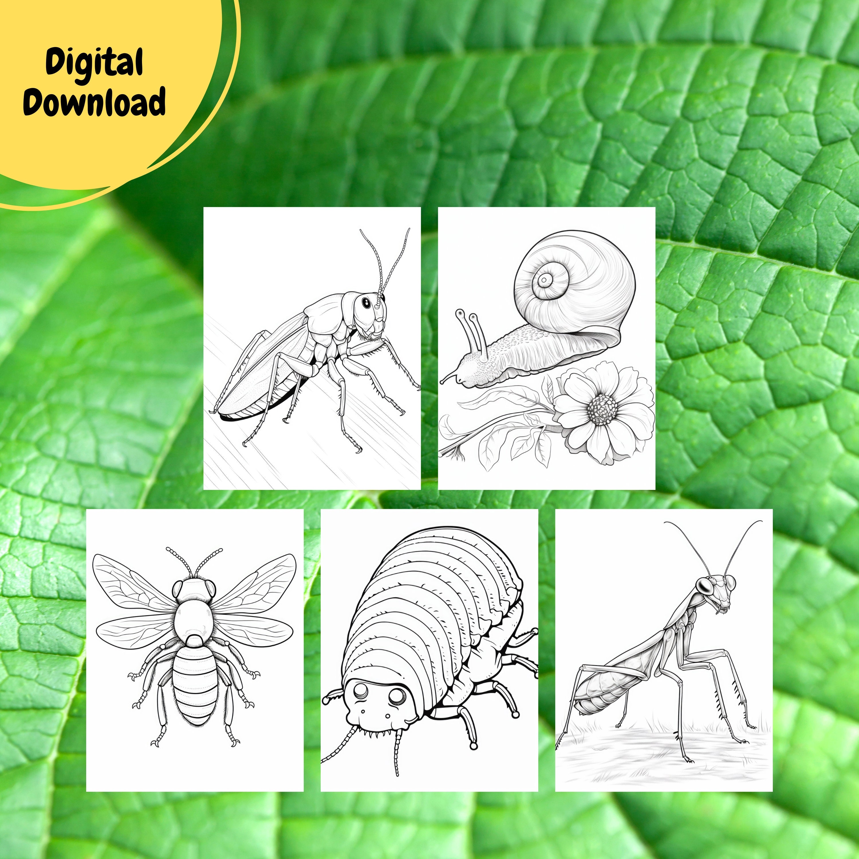 Insects and Bugs Coloring Pages for Kids and Toddlers, 20 Coloring ...