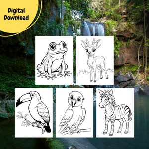 Jungle Safari Animal Coloring Pages for Kids and Toddlers, 20 Coloring ...