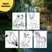 Jungle Safari Animal Coloring Pages for Kids and Toddlers, 20 Coloring ...